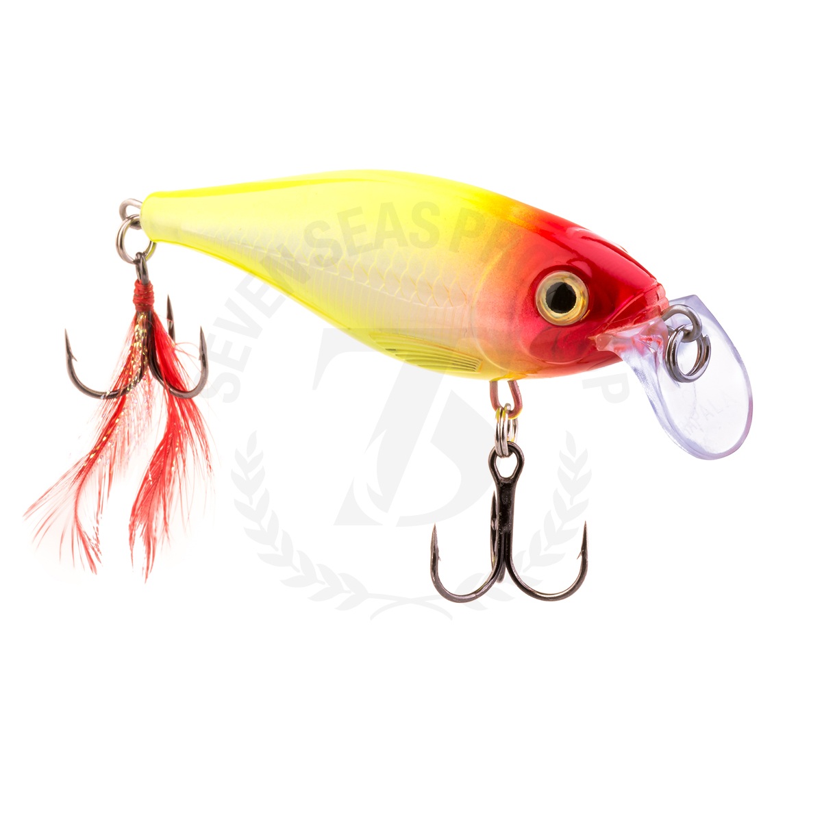 Rapala X-Rap® Shad Shallow XRSH08 #CLN*เหยื่อแชด - 7 SEAS PROSHOP ...