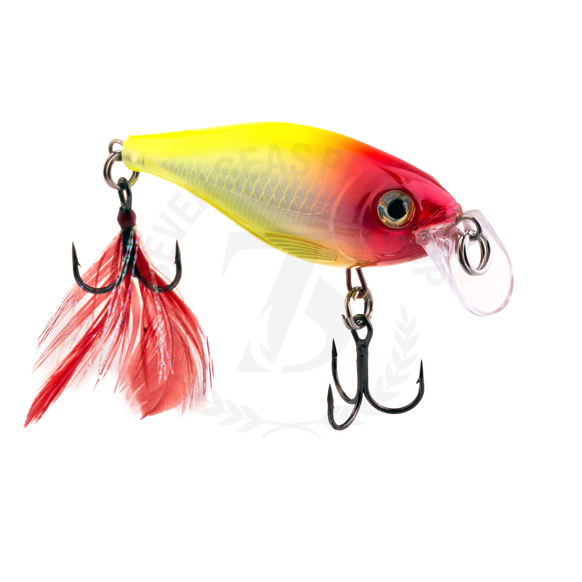 Rapala X-Rap® Shad Shallow XRSH06 #CLN*เหยื่อแชด - 7 SEAS PROSHOP ...