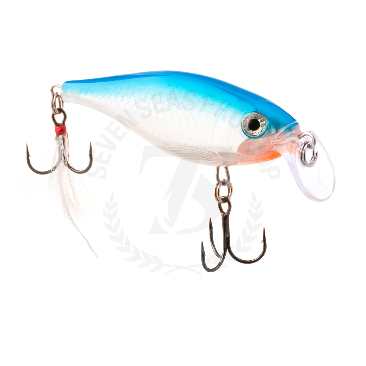 Rapala X-Rap® Shad Shallow XRSH08 #SB*เหยื่อแชด - 7 SEAS PROSHOP (THAILAND)
