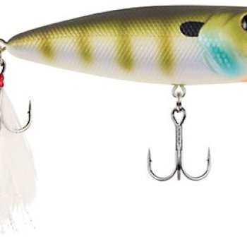 Berkley BULLET POP 70 #MF Bluegill - 7 SEAS PROSHOP (THAILAND)